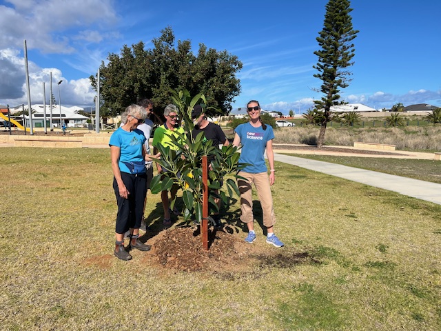 Where we have planted – Geraldton Tree Canopy Advocates