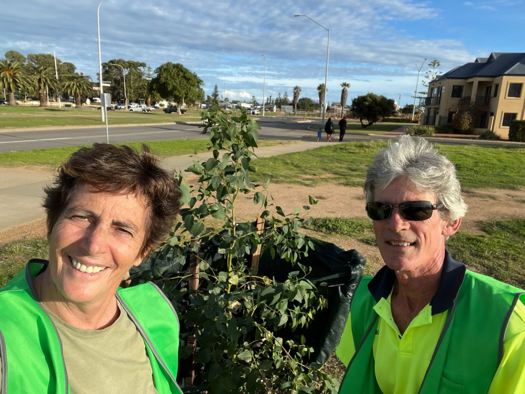 Where we have planted – Geraldton Tree Canopy Advocates